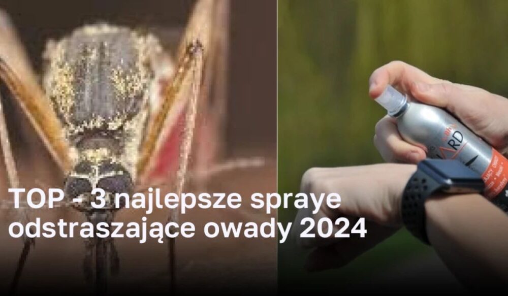 TOP - 3 najlepsze spraye odstraszające owady 2024 - mojapodroz.com